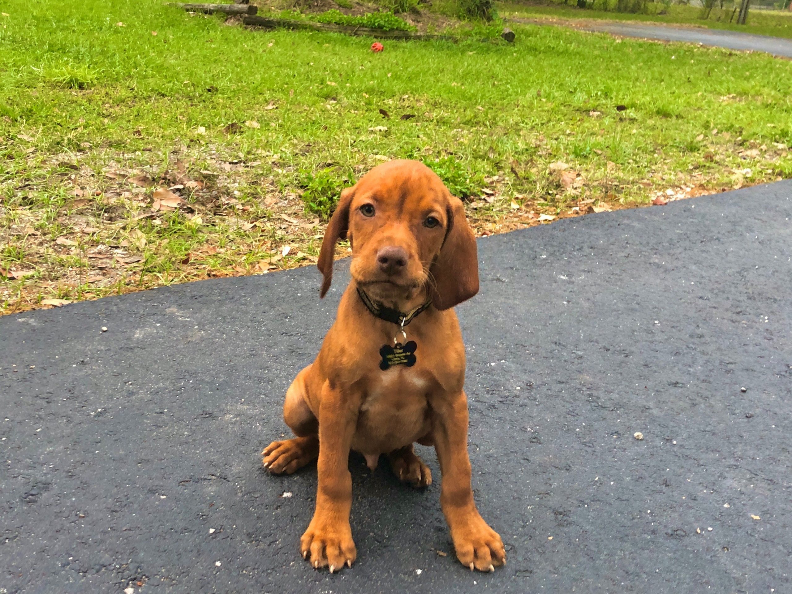 Meet Tiller Brees, the Newest Addition to the Kemp Outside Family!